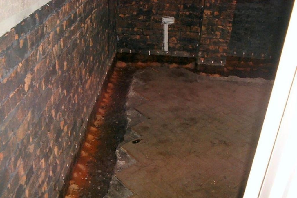 What Is Rising Damp In Buildings? | Protectahome