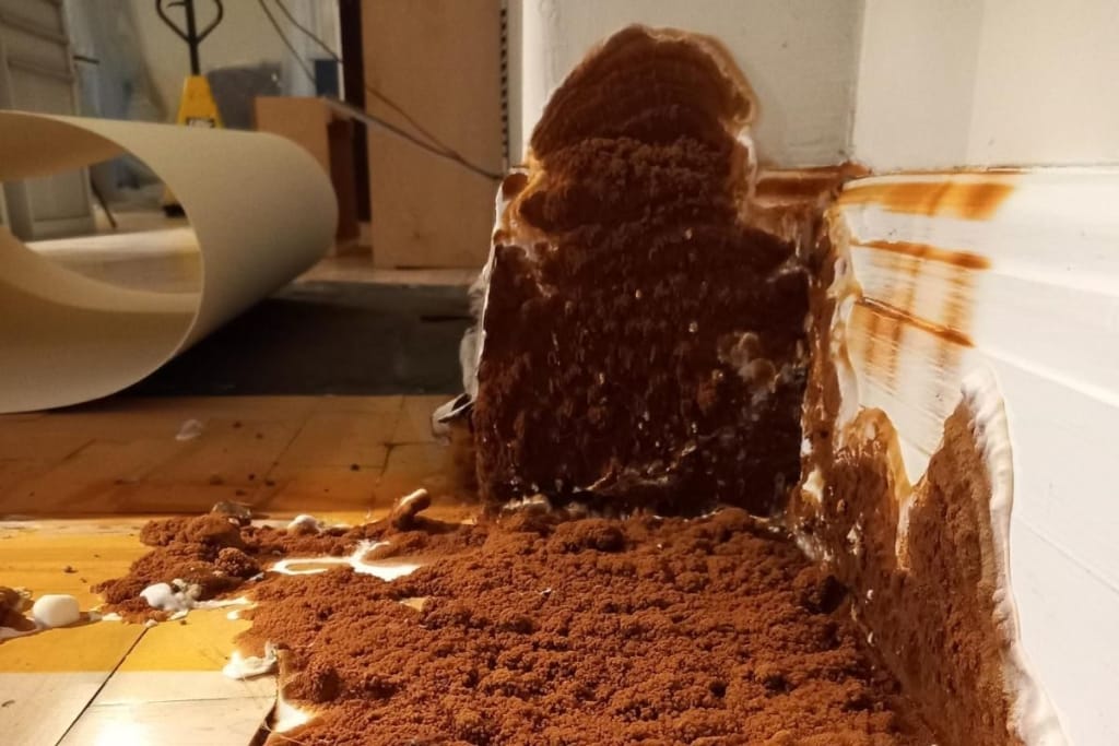 How Do You Know If You Have Dry Rot? | Protectahome